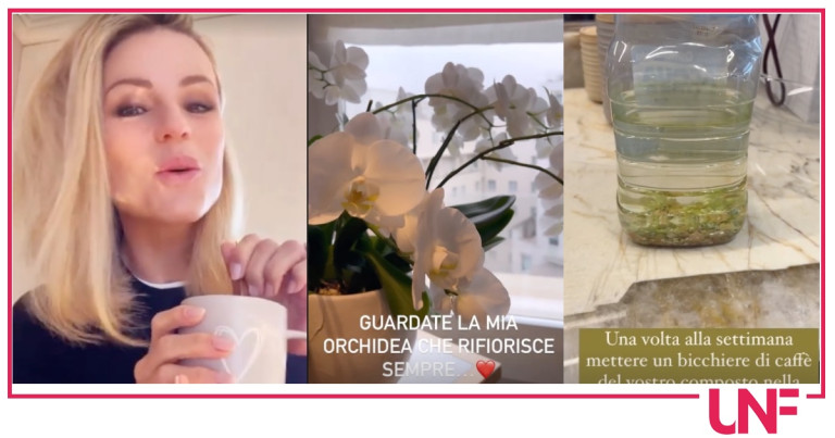 Per far rifiorire le orchidee il composto fatto in casa da Michelle ...