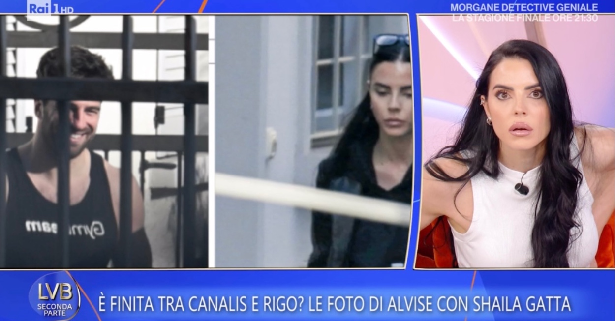 Shaila Gatta rischia un malore scoprendo in diretta le foto con Alvise ...