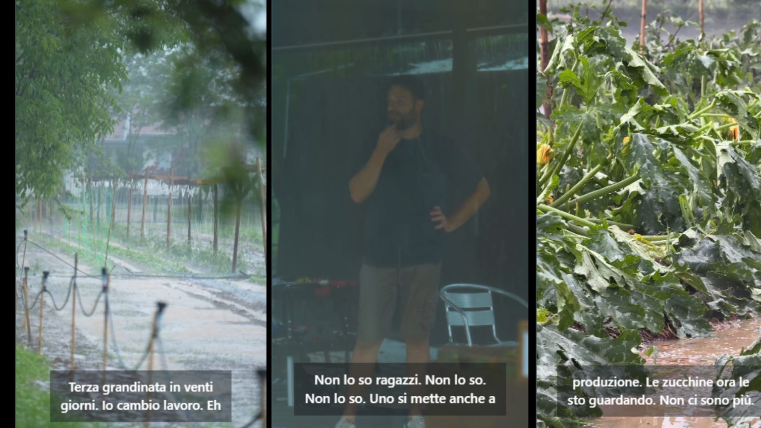 Matt The Farmer disperato sui social dopo l'ennesima grandinata che ha ...